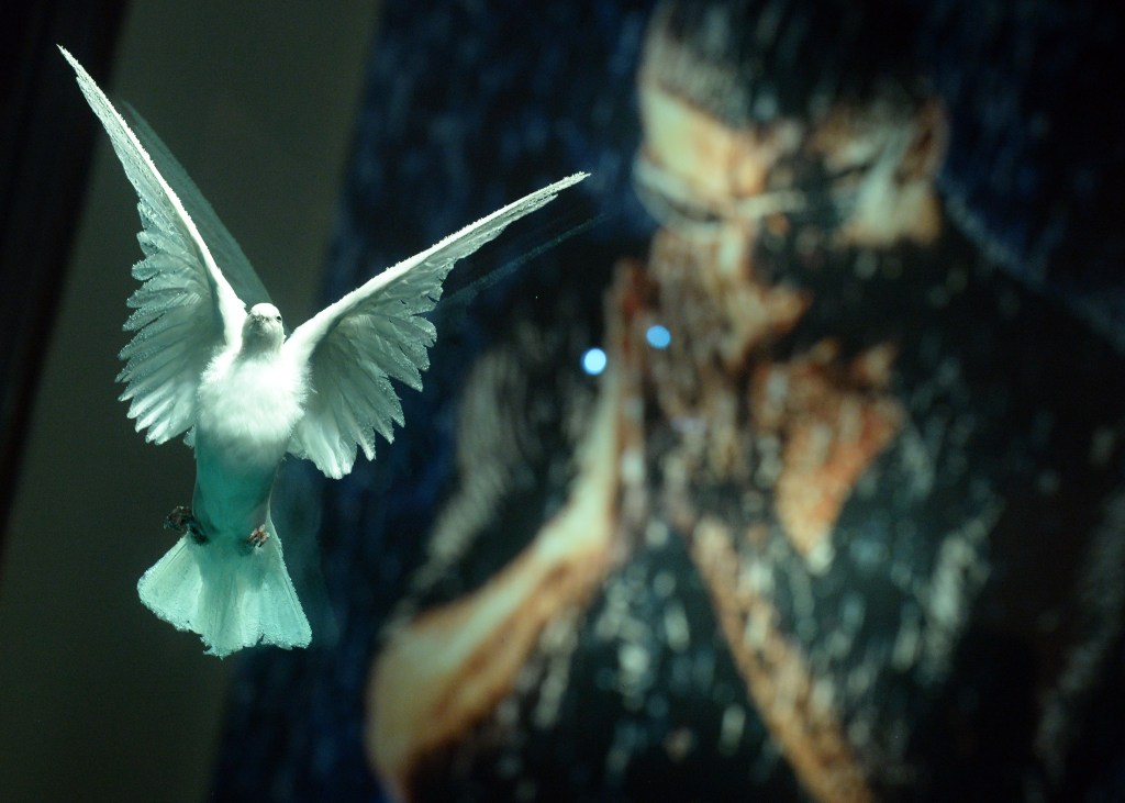 George Michael's art collection sold for more than £10 million | PinkNews